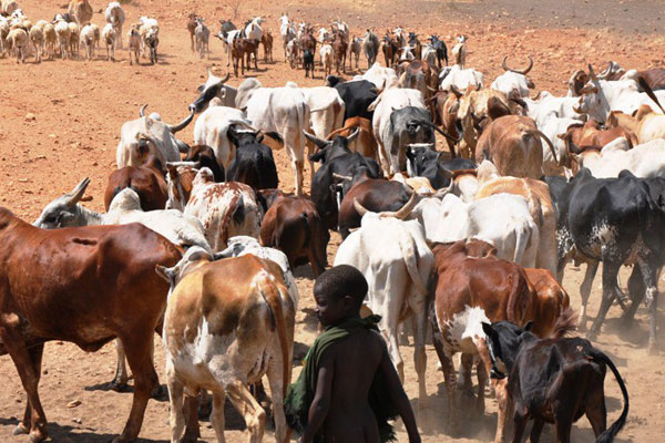 Cultural encounters in Kidepo Valley National Park - Explore Uganda Tours
